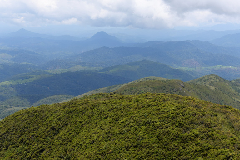 East Africa’s Albertine Rift needs protection now, scientists say