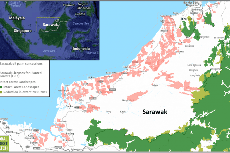0309-sarawak-map