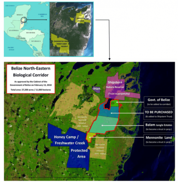 Belize creates one of Central America’s largest biological corridors