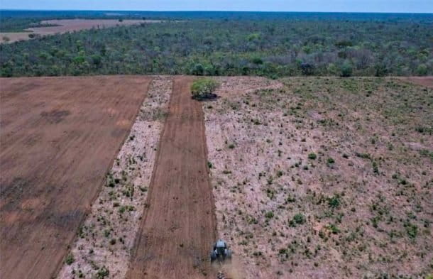 Cerrado Manifesto could curb deforestation, but needs support: experts