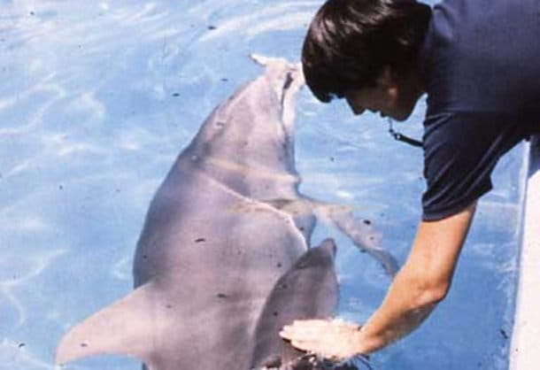 Animal trainers are teaching wildlife to conserve themselves