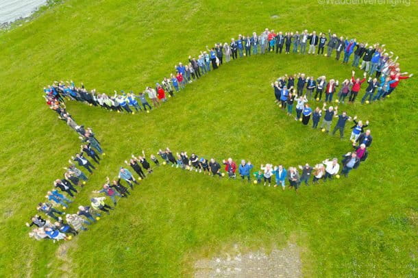 Fish tales: Six amazing journeys to celebrate World Fish Migration Day