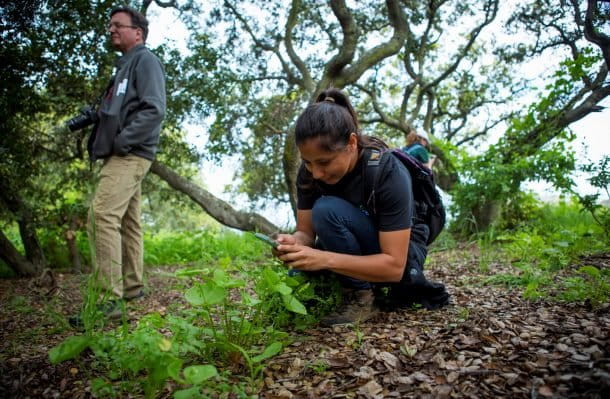 Cities worldwide use photo app technology to compete in nature ...