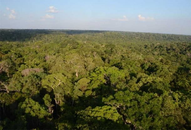 Plant response to rising CO2 levels may alter rainfall patterns across ...