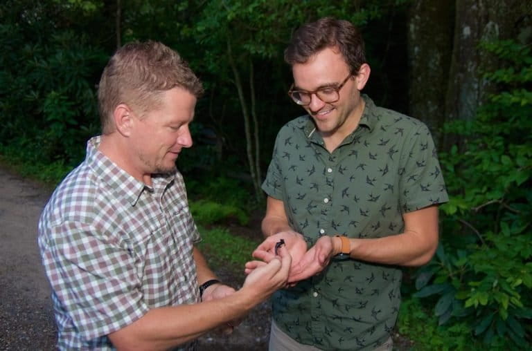 Salamanders have ‘tricks up their sleeves’ for weathering climate change