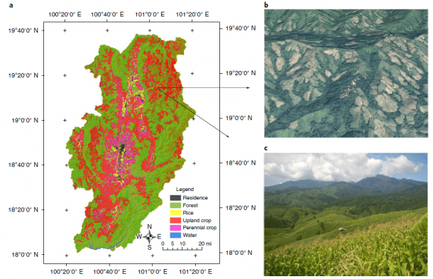 Southeast Asian deforestation more extensive than thought, study finds