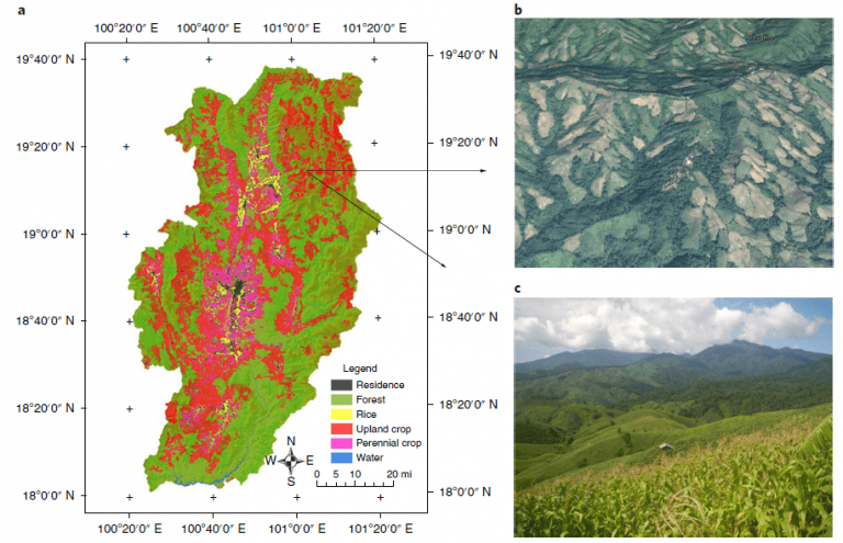 Southeast Asian deforestation more extensive than thought, study finds