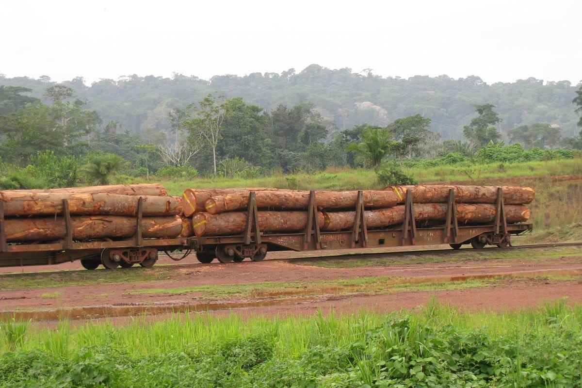 The crisis in the European tropical timber sector in Central Africa ...