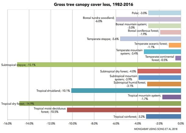 Earth has more trees now than 35 years ago