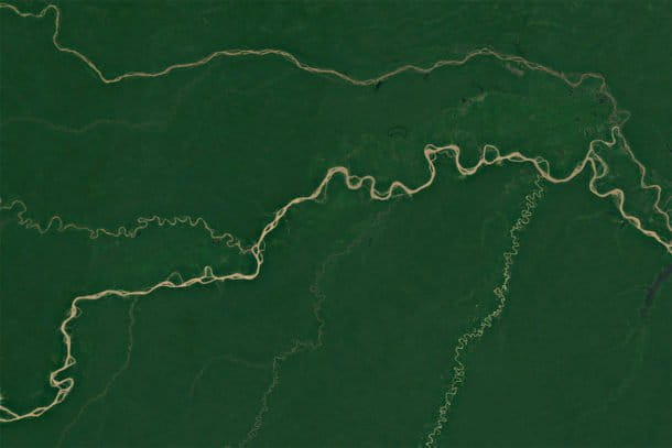 Earth has more trees now than 35 years ago