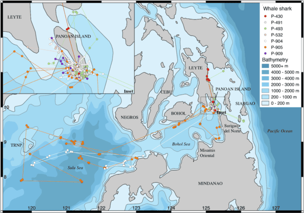 Tracking tools identify regional hubs of whale shark activity