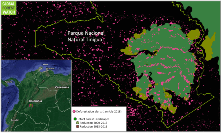 Colombia: Govt rushes to save national park from rampant deforestation