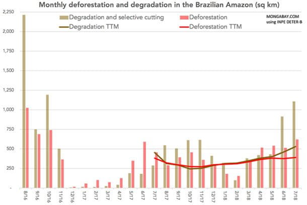 Deforestation continues upward trend in Brazil, says NGO