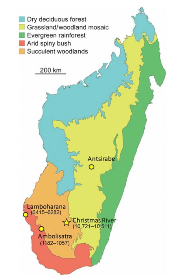 Humans reached Madagascar 6,000 years earlier than previously thought