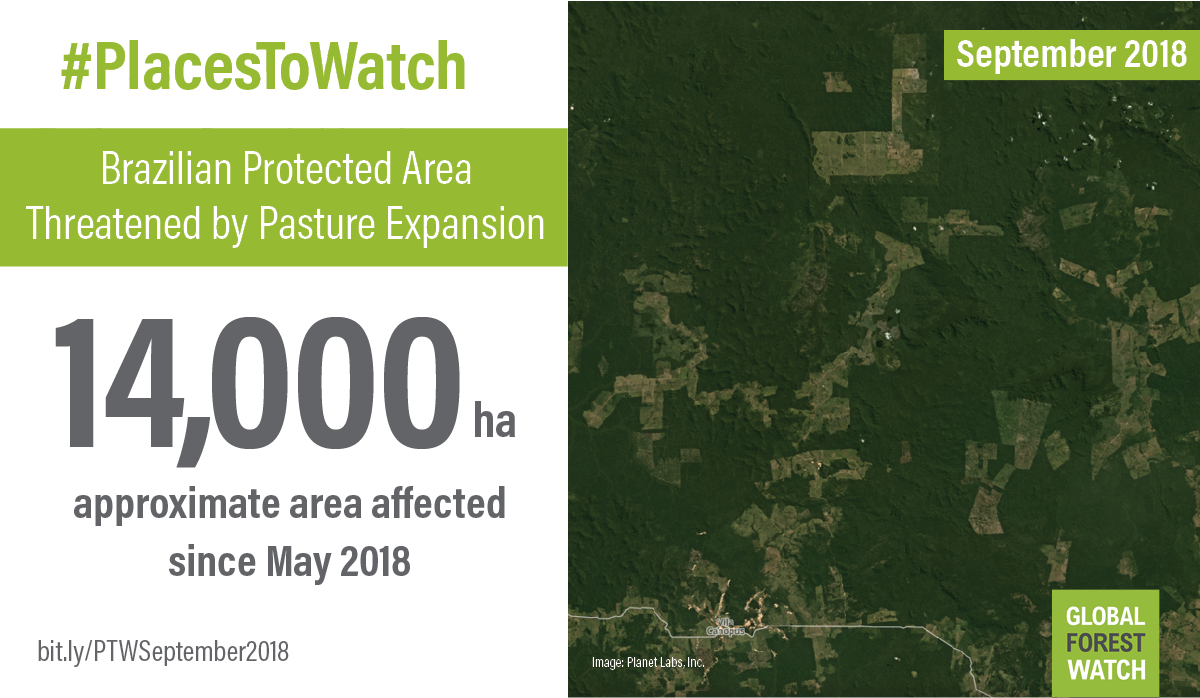 Pasture expansion driving deforestation in Brazilian protected area
