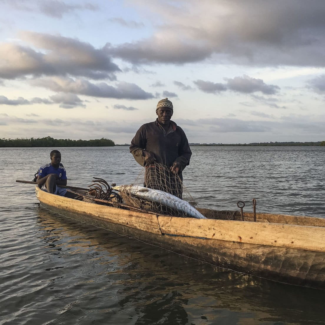 Conservation news on Senegal