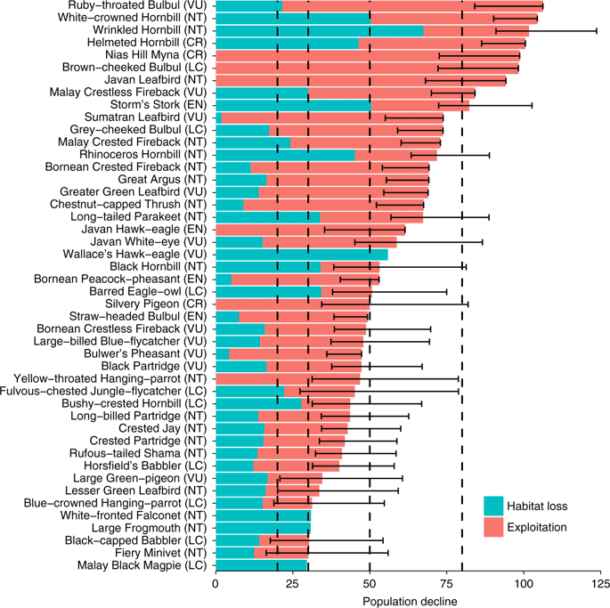 One-two punch of habitat loss, capture hammers Southeast Asian birds
