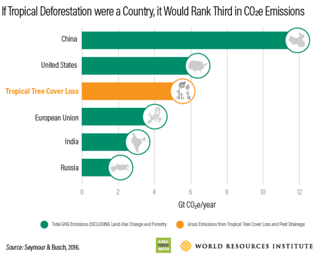 Tropical deforestation now emits more CO2 than the EU