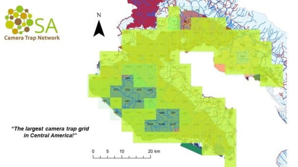 The Osa Camera Trap Network: Uniting people to monitor biodiversity