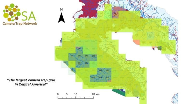 The Osa Camera Trap Network: Uniting people to monitor biodiversity