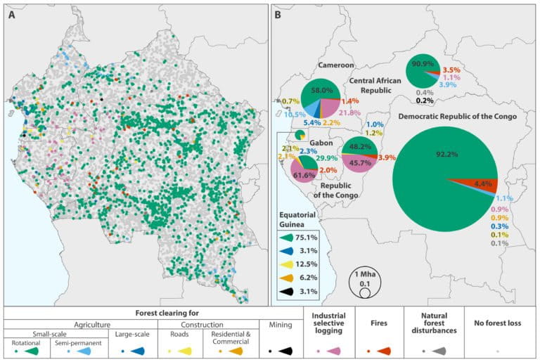 Congo Basin rainforest may be gone by 2100, study finds