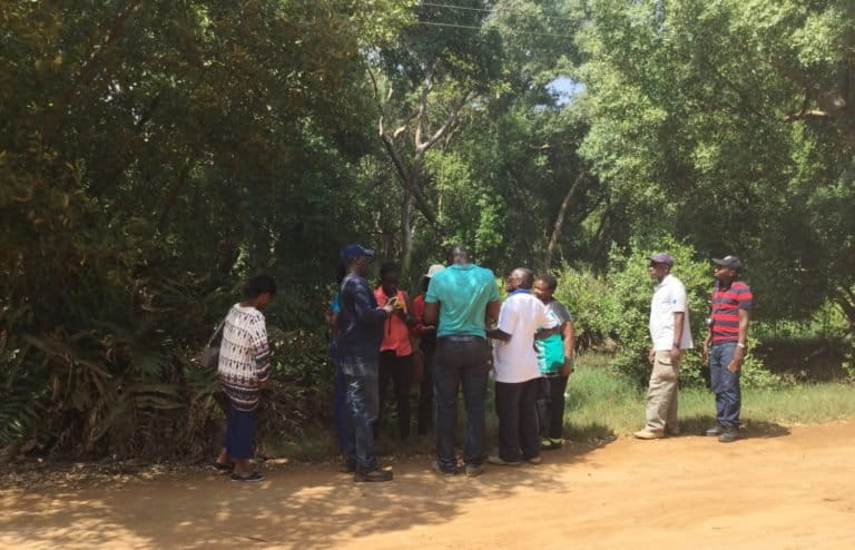 Radar helps Kenya map mangroves and other cloud-covered forests