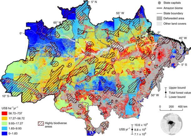 New research quantifies ecosystem services provided by Amazon rainforest