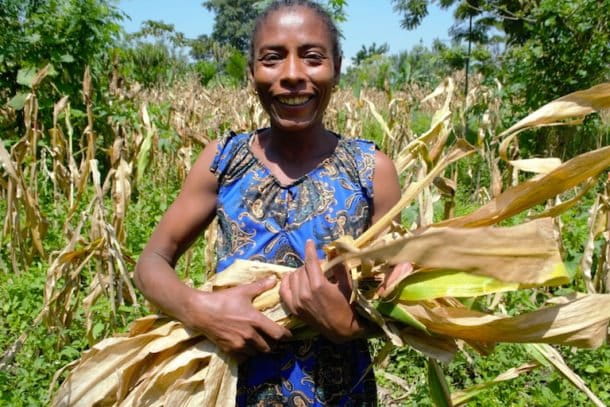 Ethiopia: Khat farming threatens food security, biodiversity, women ...