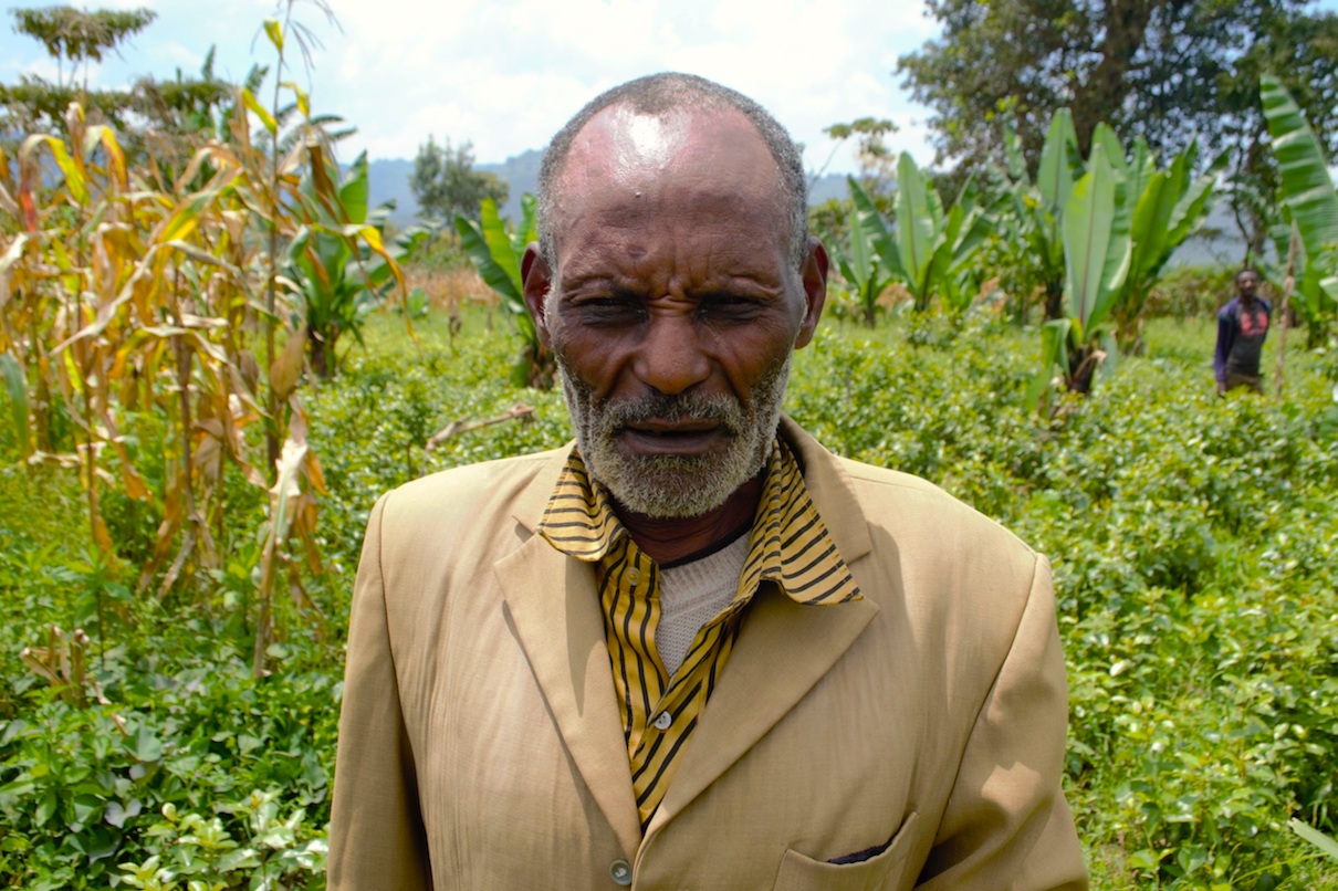 Conservation news on Forests and Ethiopia