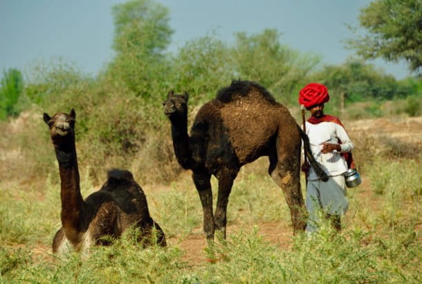 Global agreement on ‘conserved areas’ marks new era of conservation ...