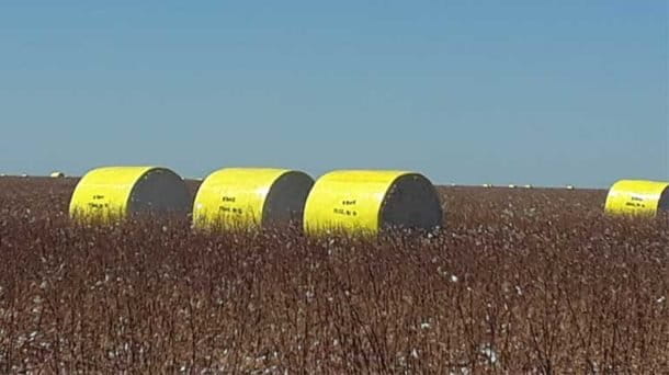 Amazon soy boom poses urgent existential threat to landless movement