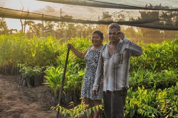 Ten years on, Amazon Fund receives applause, criticism, faces new tests