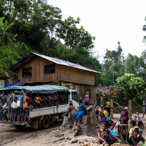 December 2018 - Conservation news