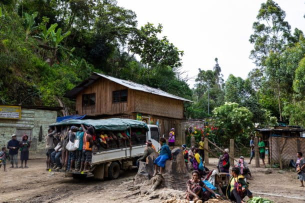 Conservation news on Papua New Guinea