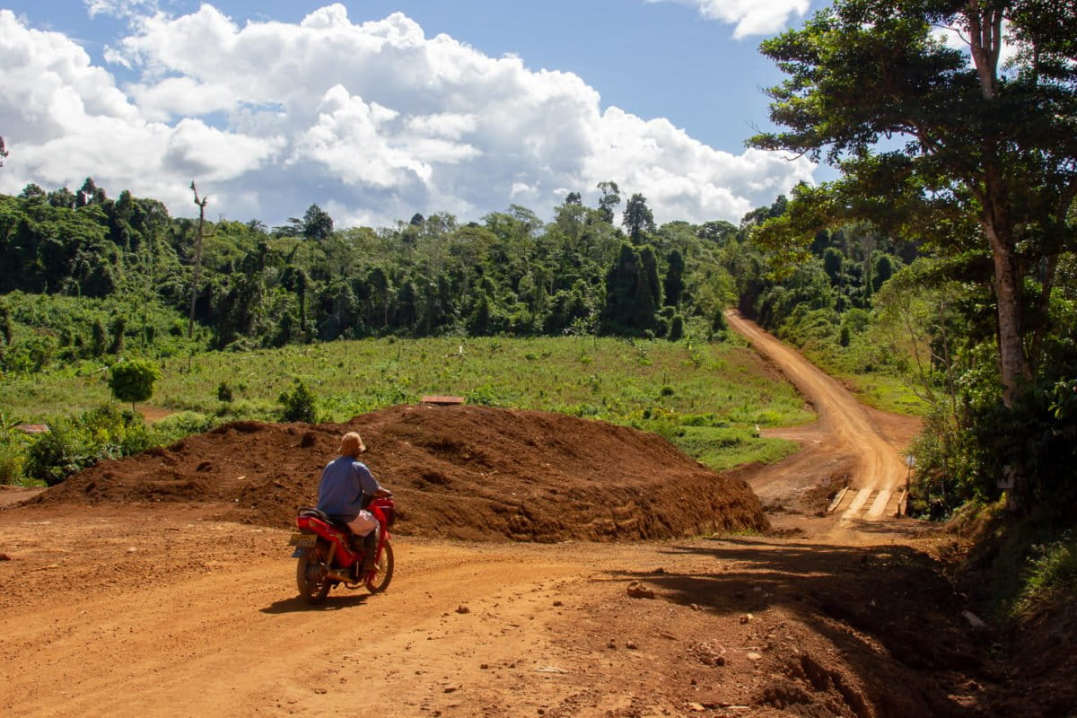 Devastating Laos dam collapse leads to deforestation of protected forests