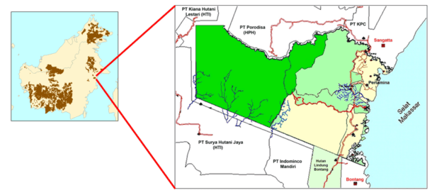 For orangutans affected by El Niño, change unfolds over time