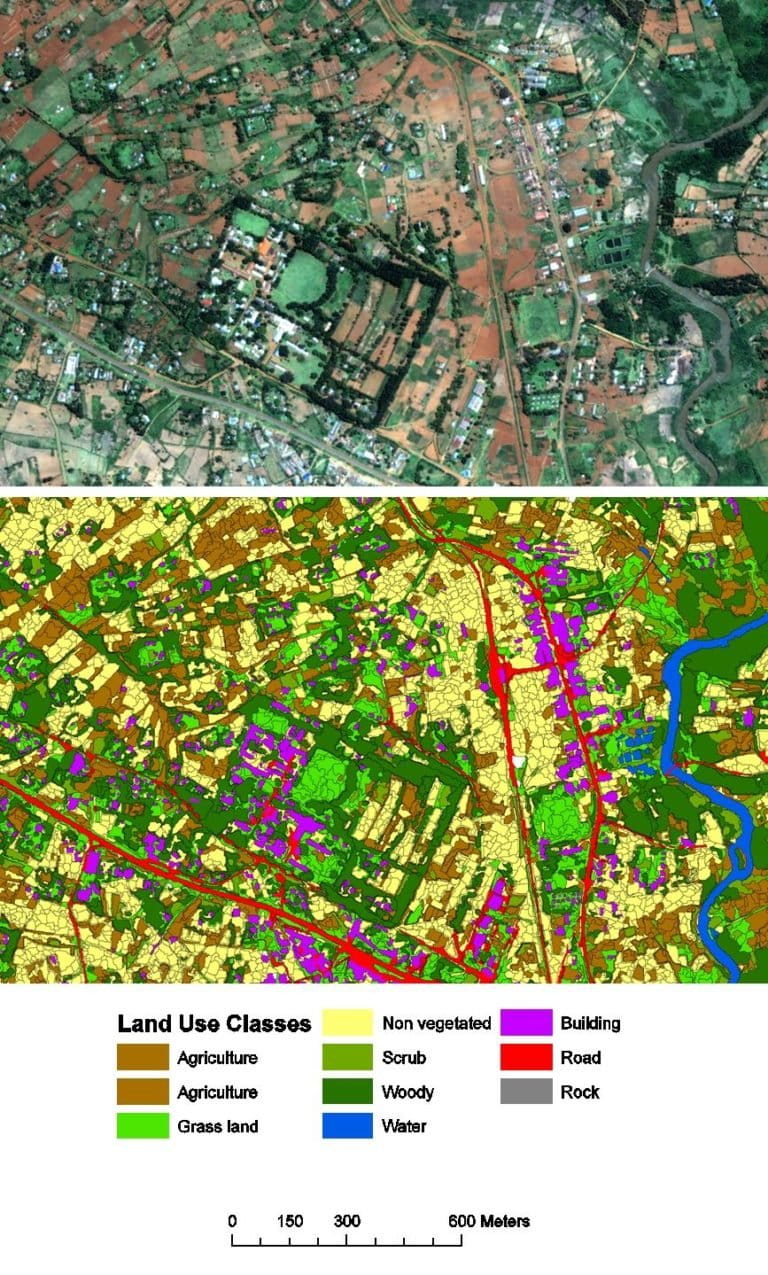 Can satellite data help monitor sustainable rural development?