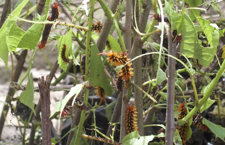 Archives | Urban Faith