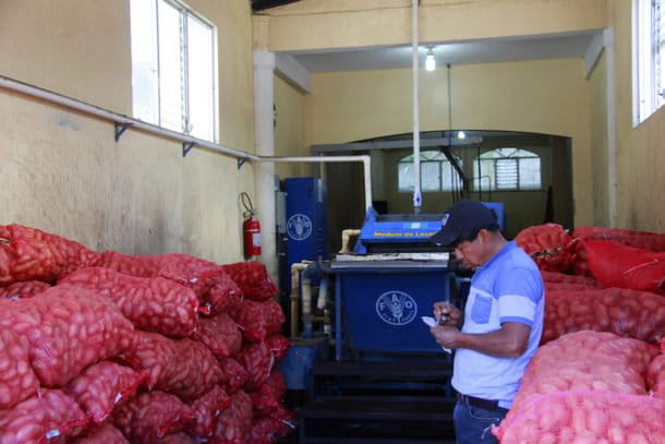 The secret to a town’s perfect potatoes? Its well-preserved forest.