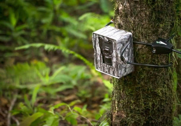 A snapshot of camera traps reveals user frustrations and hopes