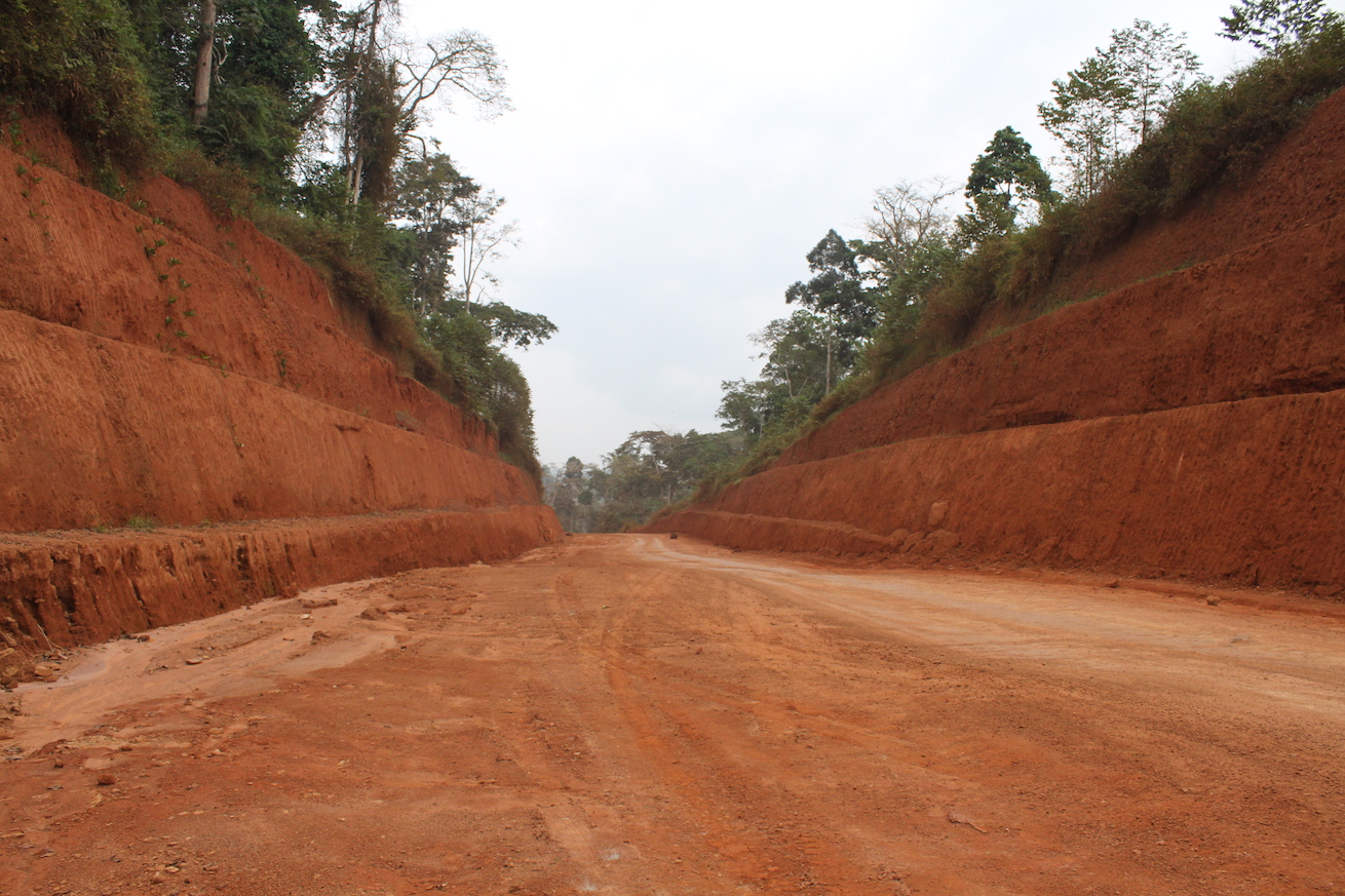 In the Congo Basin, a road cuts through once-untouched ape wilderness