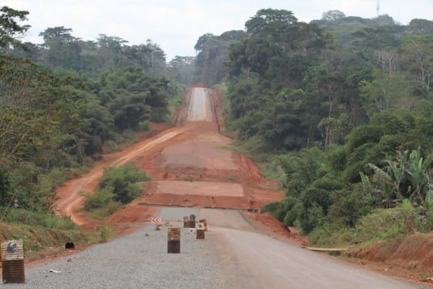 Infrastructure projects in Congo Basin need greater oversight, report says