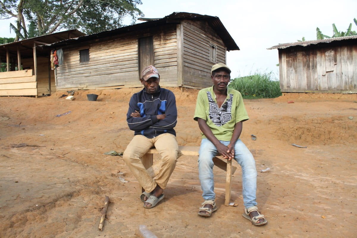 In the Congo Basin, a road cuts through once-untouched ape wilderness