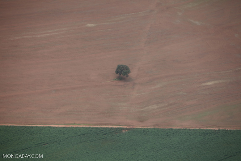 Brazil’s New Forest Code puts vast areas of protected Amazon forest at risk