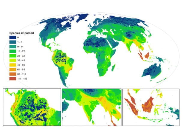 New maps show where humans are pushing species closer to extinction