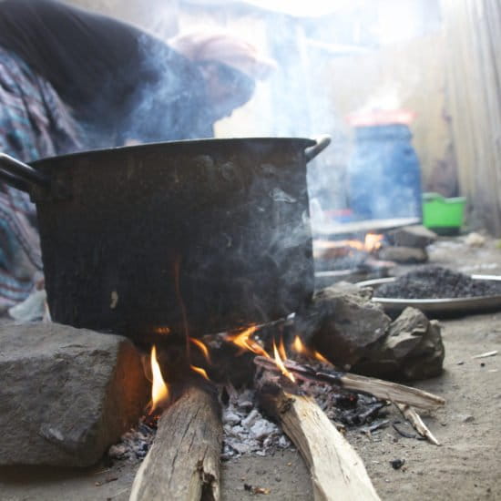 Christopher Lett Archives - Conservation news