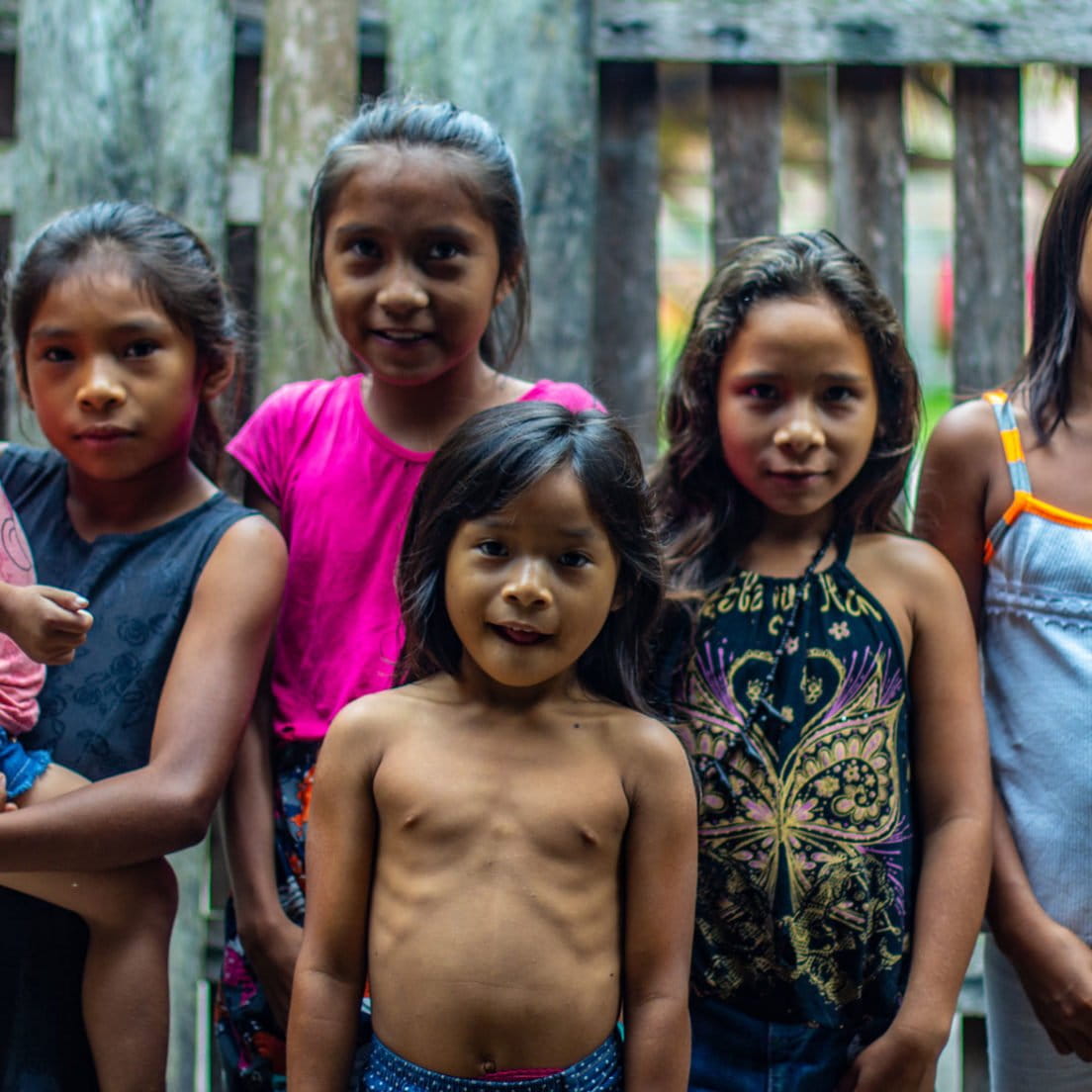 Series: Sateré-Mawé