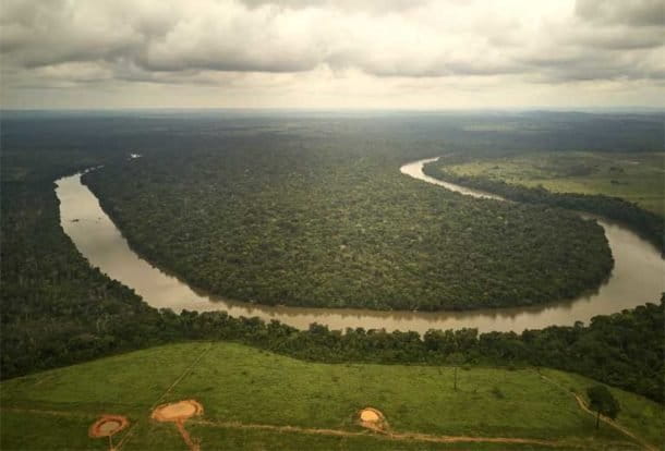 Amazon fish kill at Sinop spotlights risk from 80+ Tapajós basin dams