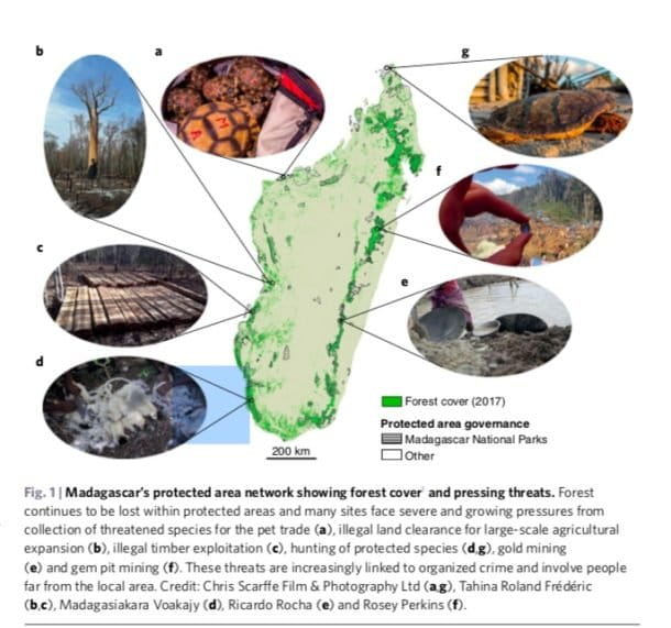 It’s now or never for Madagascar’s biodiversity, experts say