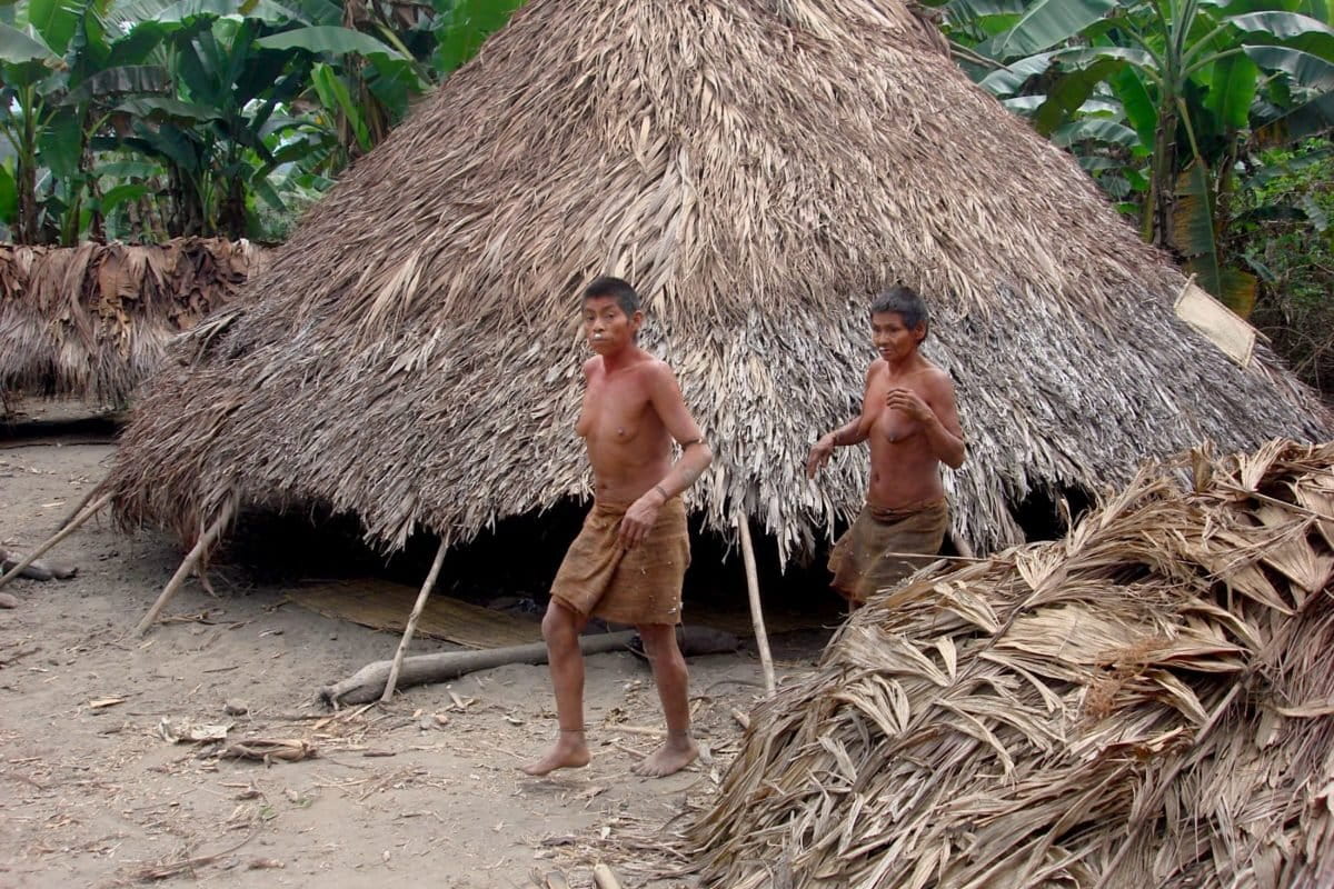 Mercury poisoning chief among health problems facing Peru’s uncontacted ...